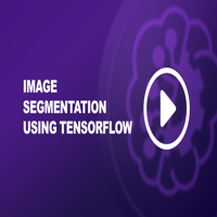 Image Segmentation Using TensorFlow - GeeksforGeeks | Videos