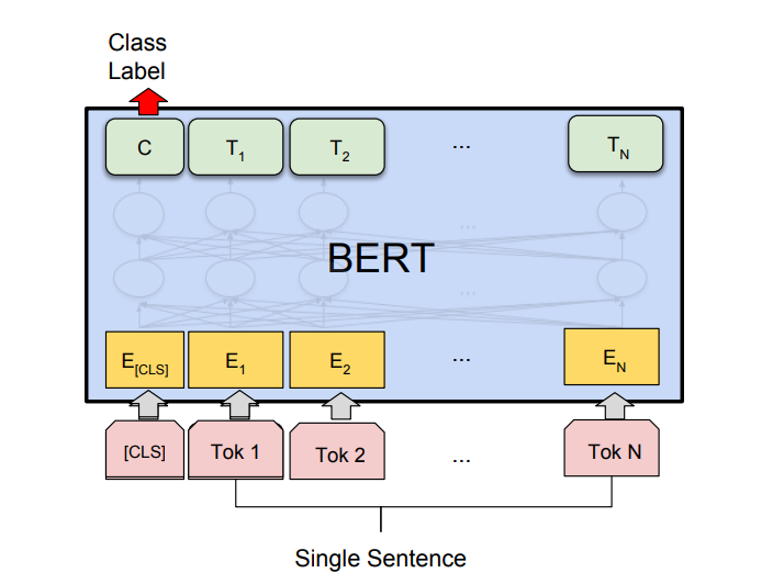 How To Fine Tune Bert On Text Classification Task Vrogue co