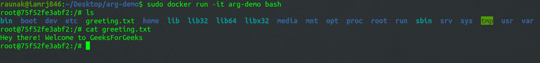 Docker - ARG Instruction - GeeksforGeeks