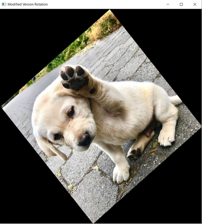 Rotate image without cutting off sides using Python - OpenCV ...