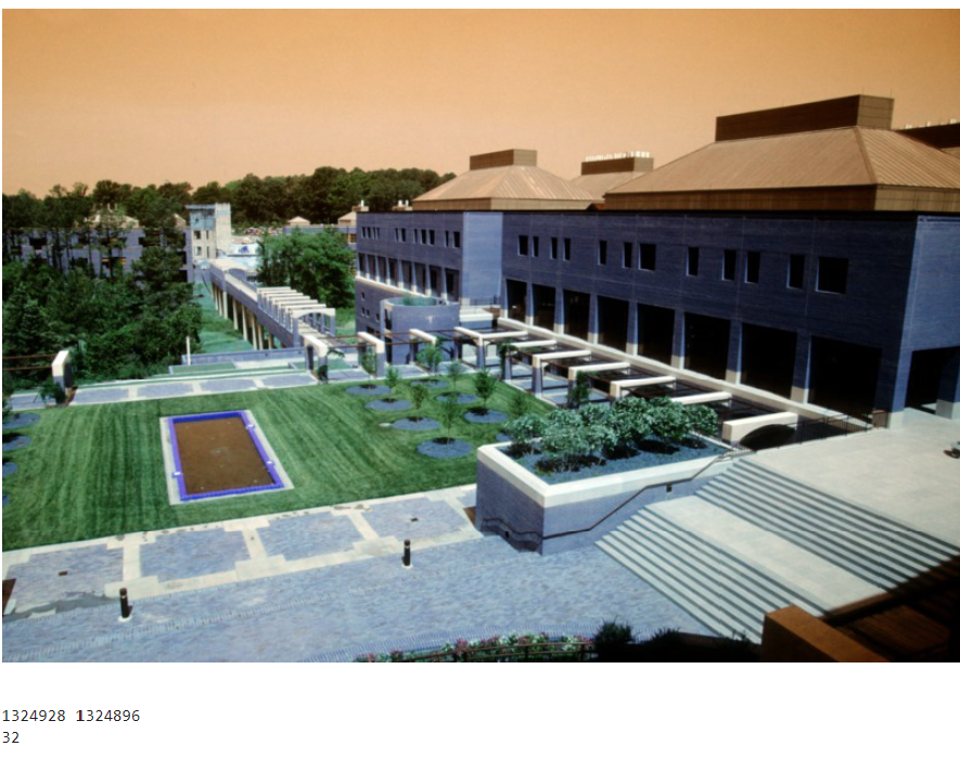 Impact of Image Flattening - GeeksforGeeks