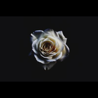 Generate square or circular thumbnail image with Python - Pillow ...