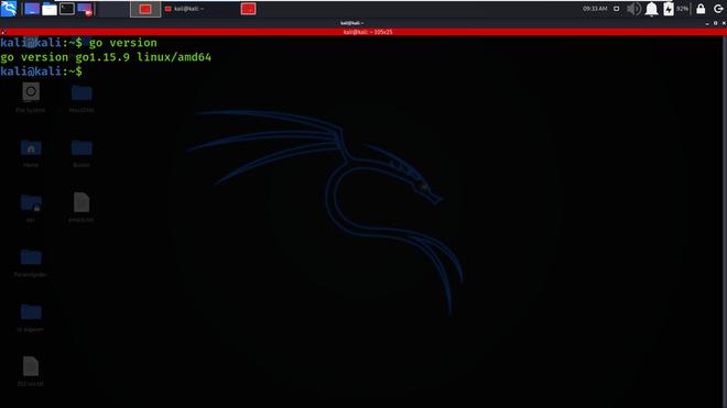 Subzy - Subdomain takeover Vulnerability Checker Tool - GeeksforGeeks