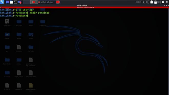 Domained - Multi Tool Subdomain Enumeration Suite on Kali Linux ...