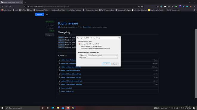 How to install and use Naabu in Windows - GeeksforGeeks