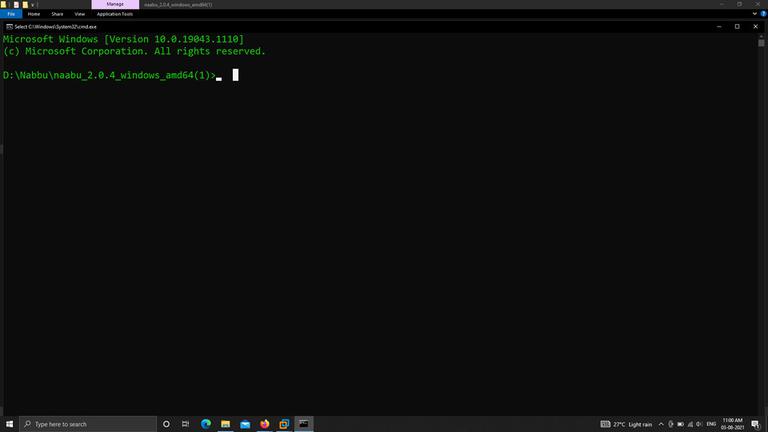 How to install and use Naabu in Windows - GeeksforGeeks
