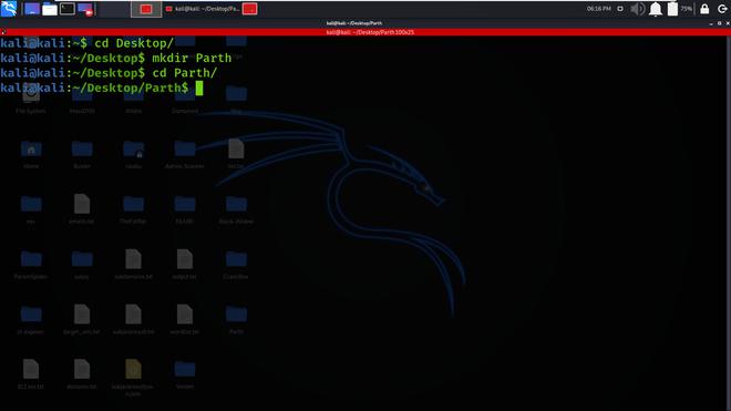 Parth - Heuristic Vulnerable Parameter in Linux - GeeksforGeeks
