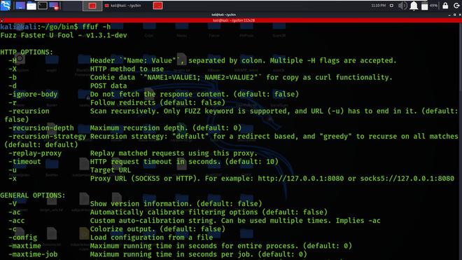 ffuf - Fast Web Fuzzer Linux Tool Written in Go - GeeksforGeeks