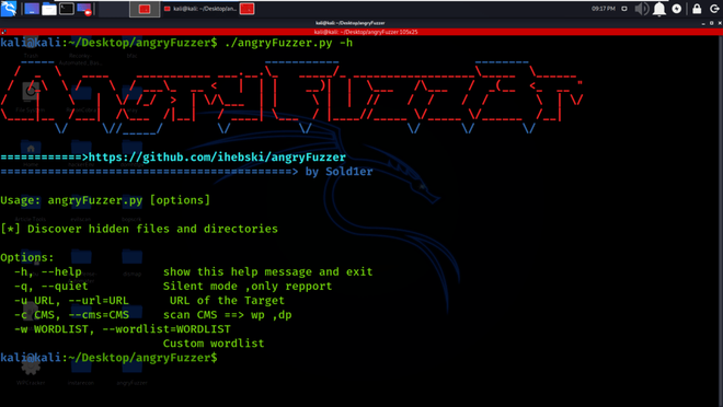 AngryFuzzer - Tool for Information Gathering on Kali Linux - GeeksforGeeks