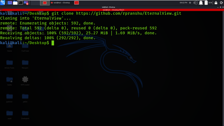 EternalView - Information Gathering and Vulnerability Assessment tool - GeeksforGeeks