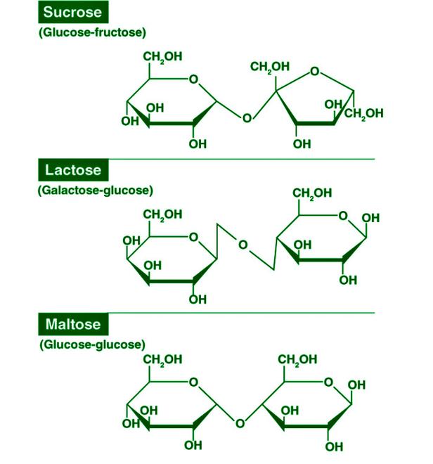 Carbohydrates - Definition, Classification, Sources, Importance ...