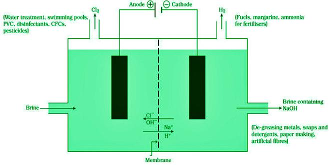 Group 17 p-block Elements - Chlorine Family - GeeksforGeeks