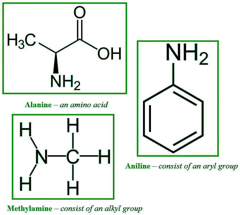 Nomenclature Of Amines GeeksforGeeks