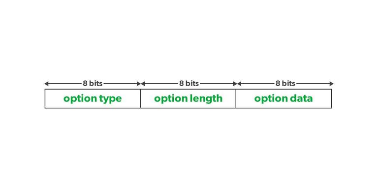 Options Field in IPv4 Header - GeeksforGeeks