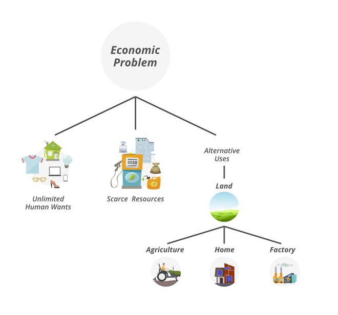 Introduction to Microeconomics - GeeksforGeeks