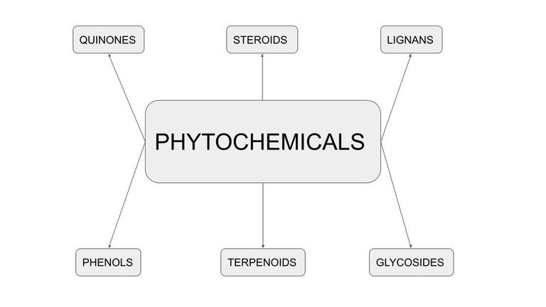 Coordination in Plants - GeeksforGeeks