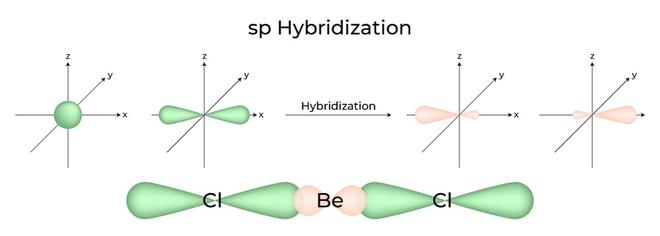 Hybridization - GeeksforGeeks