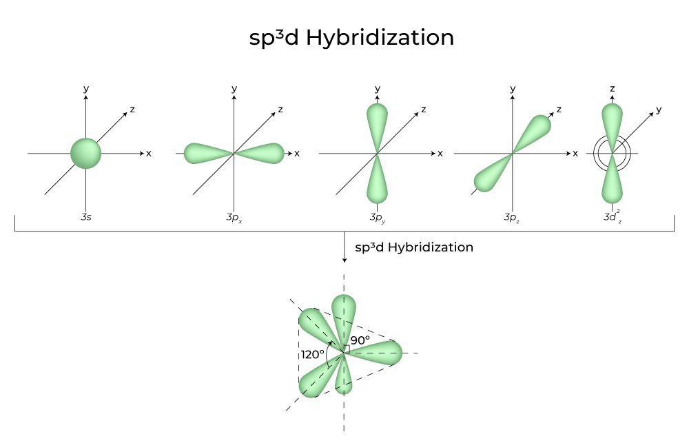 Hybridization Definition Types Rules Examples GeeksforGeeks Hybridization Definition Types Rules Examples GeeksforGeeks