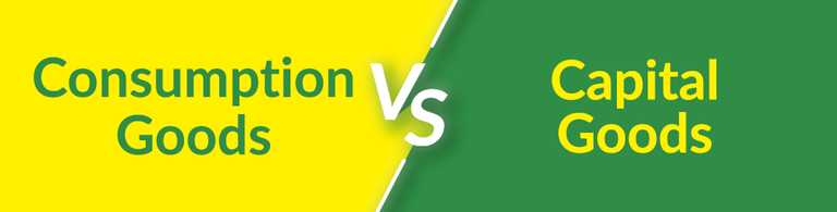 Consumption Goods and Capital Goods - GeeksforGeeks