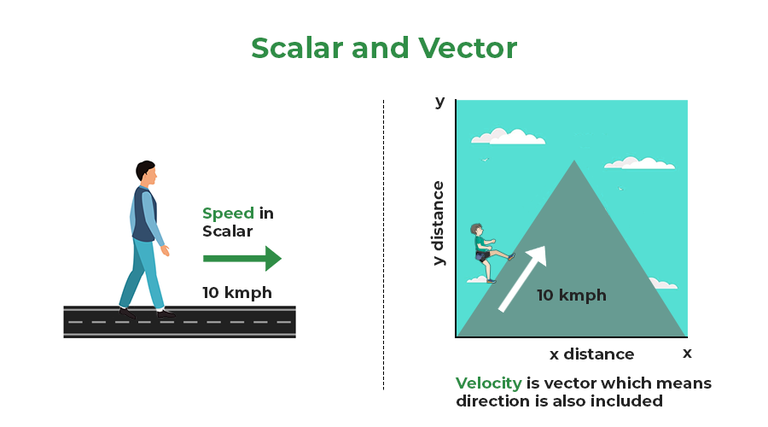 Scalars and Vectors – Definition, Examples, Notation, Differences & FAQs