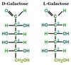 Galactose Formula - GeeksforGeeks