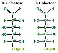 Galactose Formula - GeeksforGeeks