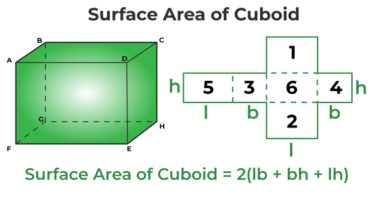 Surface Area of Cuboid - Definition, Formulas, Derivation, Examples