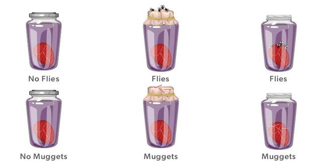 Spontaneous Generation Theory - GeeksforGeeks