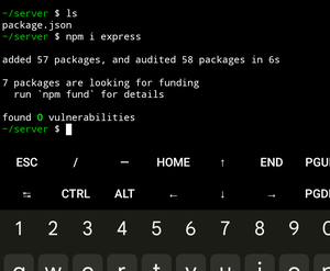 How to Run Node.js with Express on Mobile Devices ? - GeeksforGeeks