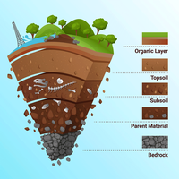 Soil as a Resource and Classification of Soil: Class-10 NCERT Notes ...