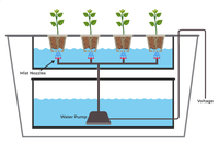 Aeroponics Farming - GeeksforGeeks