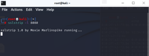 SSL Stripping and ARP Spoofing in Kali Linux - GeeksforGeeks