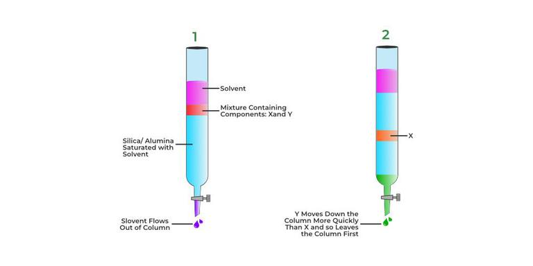 Chromatography: Definition, Principle, Types & Applications