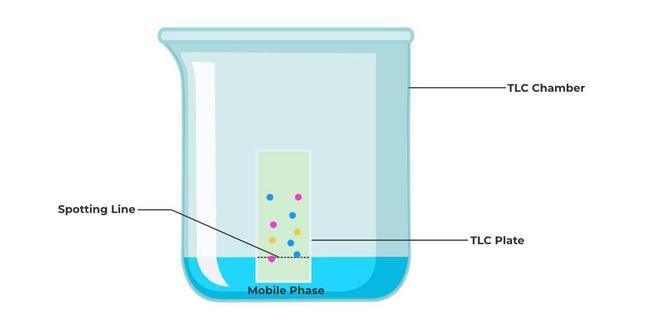Chromatography - GeeksforGeeks