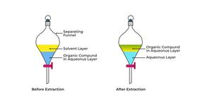 Chromatography - GeeksforGeeks