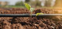 Irrigation: Meaning, Types, Methods and Importance - GeeksforGeeks