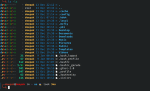 Fix McFly Error in Garuda Linux - GeeksforGeeks