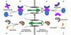 Nuclear Transport - GeeksforGeeks