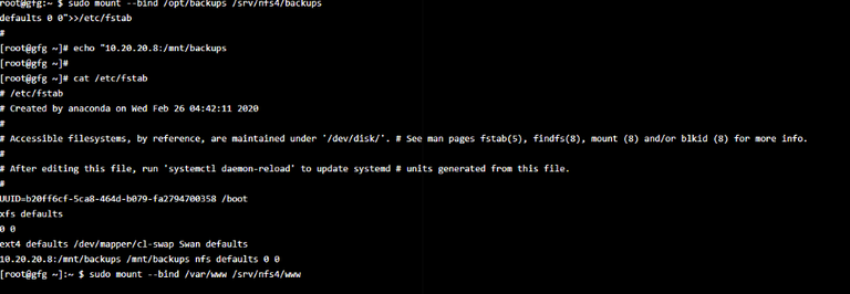 Setting Up Standard Linux File Systems and Configuring NFSv4 Server ...