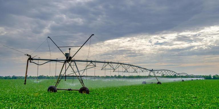 Irrigation: Meaning, Types, Methods and Importance - GeeksforGeeks
