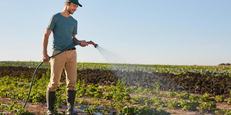 Irrigation: Meaning, Types, Methods and Importance - GeeksforGeeks