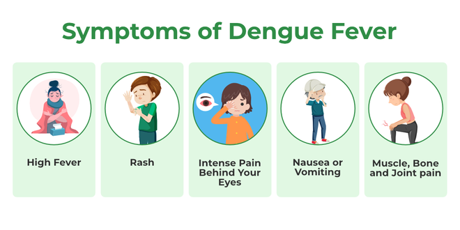 Facts About Dengue | GeeksforGeeks