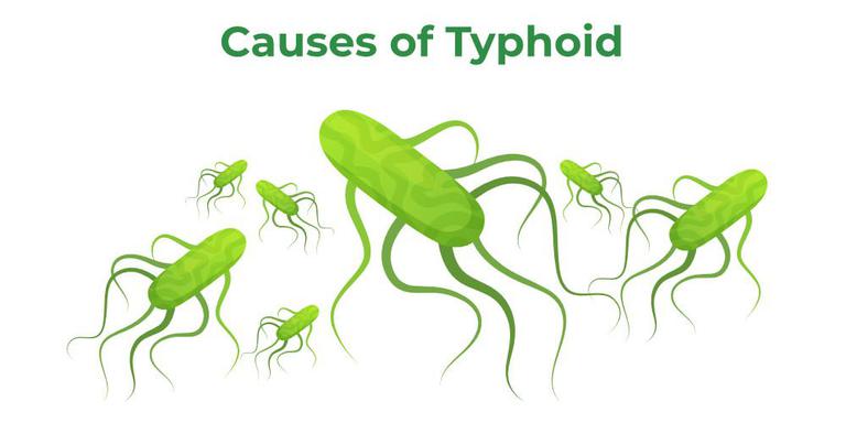 Typhoid | GeeksforGeeks