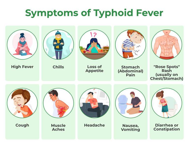 Typhoid | GeeksforGeeks
