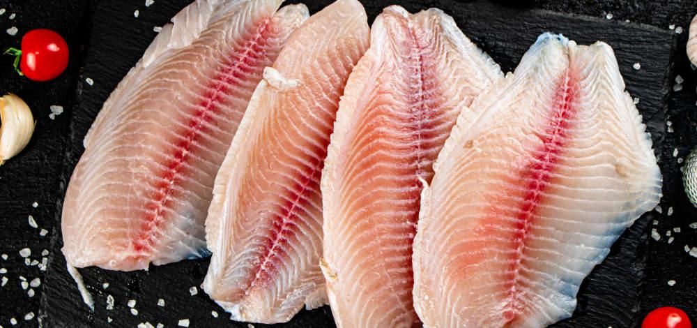 8 Best High Protein Foods