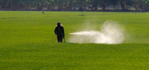 Crop Protection and Weeding - GeeksforGeeks