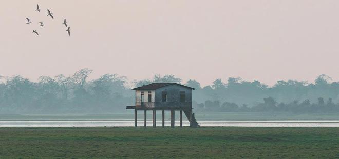 What is Duar Formation? - GeeksforGeeks