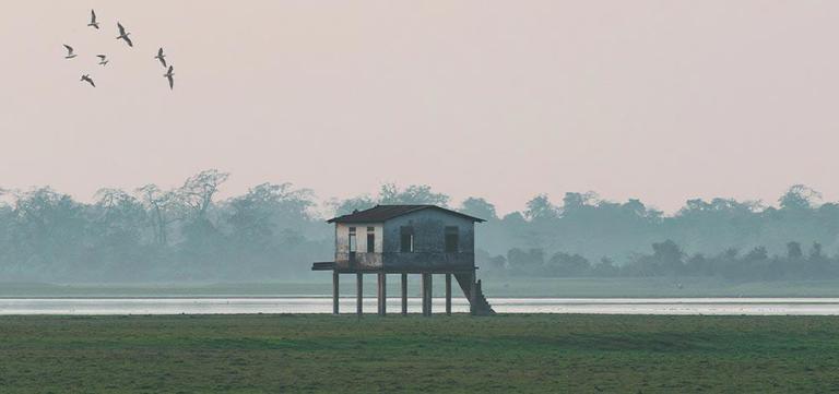 What is Duar Formation? - GeeksforGeeks