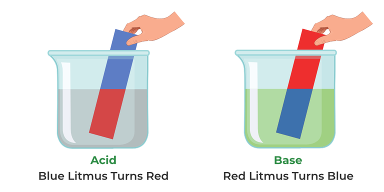 Acids, Bases and Salts | GeeksforGeeks