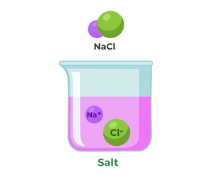 Acids, Bases and Salts | GeeksforGeeks